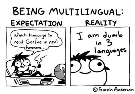 My Favorite Memes About Learning Languages Ankimaster