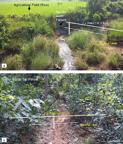 A Typical Agricultural Stream Reach With Disconnected Floodplain And