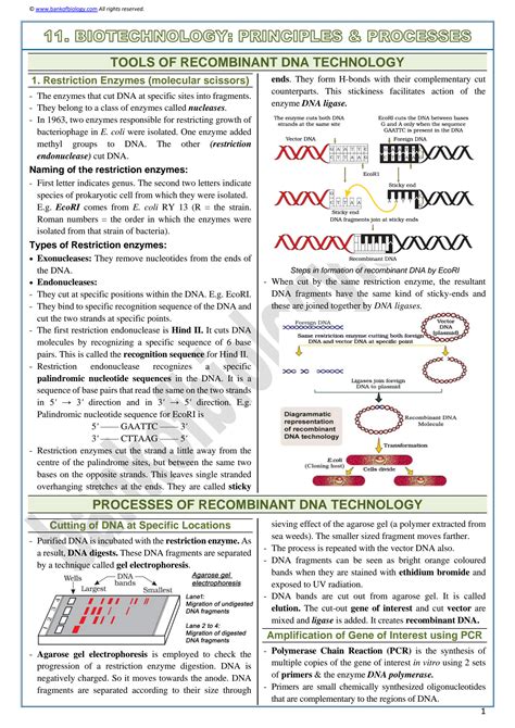 Solution Short Notes Of Principales Biotechnology Processes Studypool