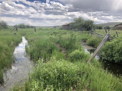Land Investor How To Draft A Ranch Management Plan In Five Steps