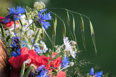 Latviešu Ticējumi Mammamuntetiemlv