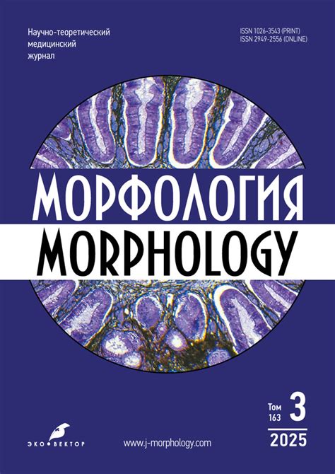 卷 144 编号 5 2013 Morphology