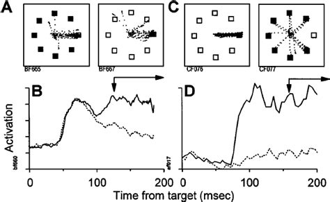 Relation Of The Frontal Eye Field Fef Target Selection Process To