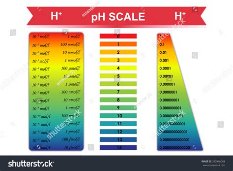 Ph Scale Chart Corresponding Hydrogen Ion Stock Vector Royalty Free