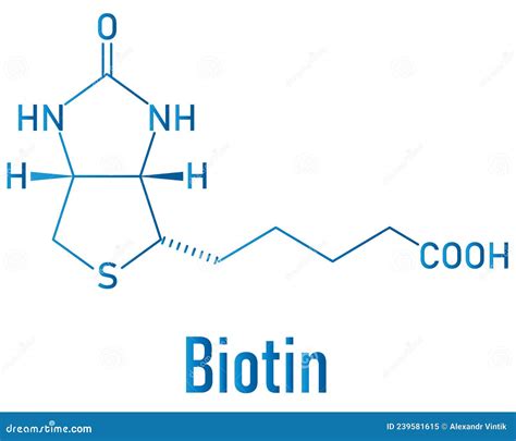 Biotin Or Vitamin B7 Molecule Skeletal Formula Cartoon Vector