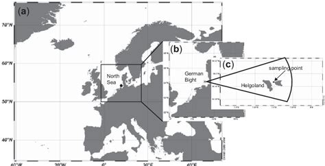 Figure 1 From Metabarcoding Analysis Suggests That Flexible Food Web