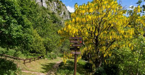 Botanischer Garten „maria Ansaldi“ Pania Di Corfino Visit Tuscany