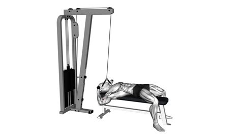Cable Face Pull Exercise Tips And Guide Male Video Guide And Tips