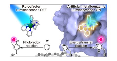 Switching Type Itype Ii Reactions By Turning A Photoredox Catalyst