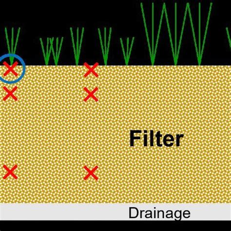 Schematic Sketch Of The Sampling Strategy In Bioretention Filter Media