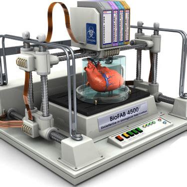 PDF Bioprinting Toward Organ Fabrication Challenges And Future Trends