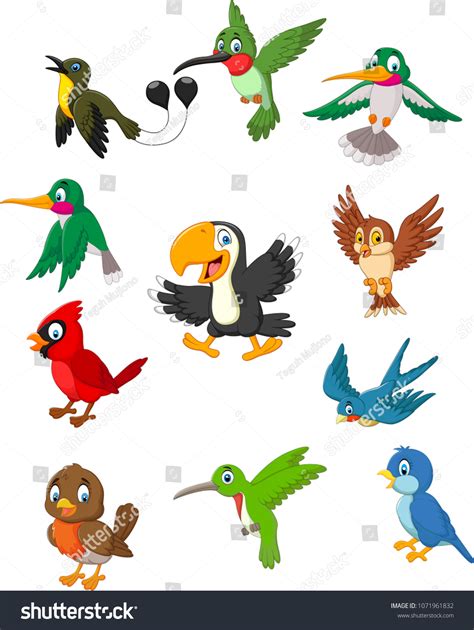 Cartoon Bird