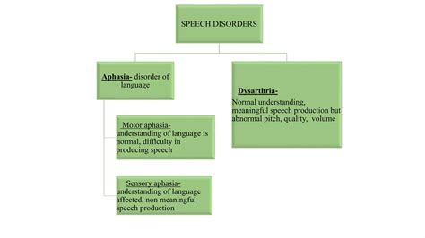 Higher Mental Function Assesmentpptx