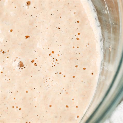 How To Make A Whole Wheat Sourdough Starter The Old Fashioned Way
