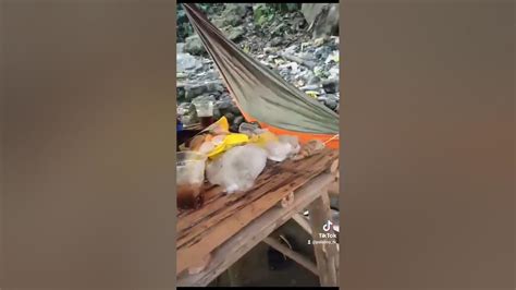 Dampalit Falls Youtube