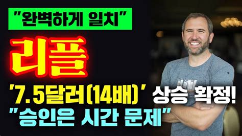 완벽하게 일치 리플 75달러14배 상승 확정 승인은 시간 문제 리플 리플전망 리플코인 Youtube