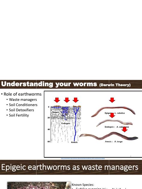 Vermicomposting Shade House Students Pdf Natural Materials Soil