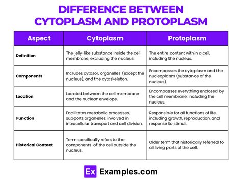 What Is Protoplasm Definition Components Properties