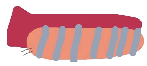 Krimp Long Journey Wiki Fandom