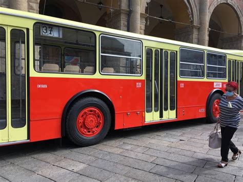 Massimo Vignoli Vignolimassimo Twitter