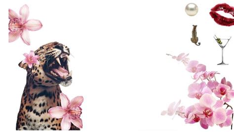 Wallpaper Computer Leopard Wallpaper Imac Wallpaper Mac Wallpaper