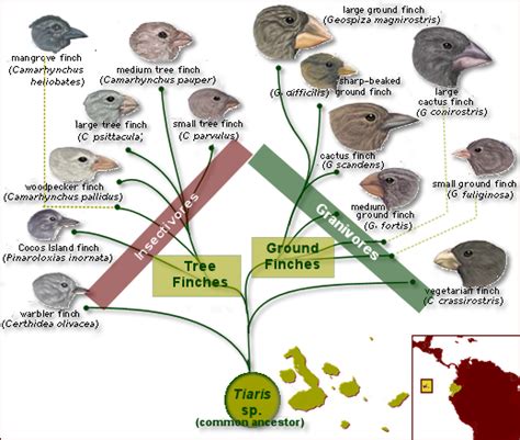 Teaching Evolution In A Geology Class ~ Hudson Valley Geologist