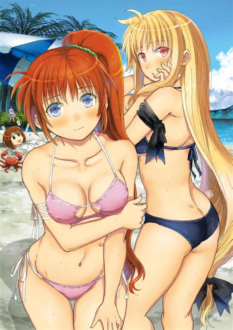 Garimpeiro Fate Testarossa Reinforce Zwei Takamachi Nanoha Yagami Hayate Lyrical Nanoha