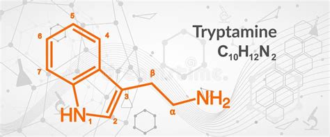 Skeletal Formula Of Alkaloid Tryptamine Chemical Molecule Stock