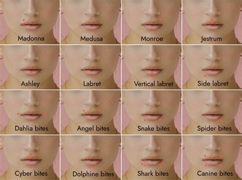 Lip Piercing Types Lip Piercing Types Of Piercings Medusa Piercing