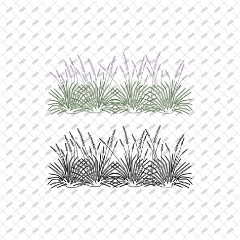 Cad Vector Grass Beds In Color And B W