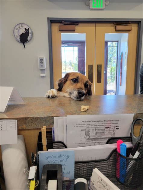 Jennifer Eckert Posted On Linkedin