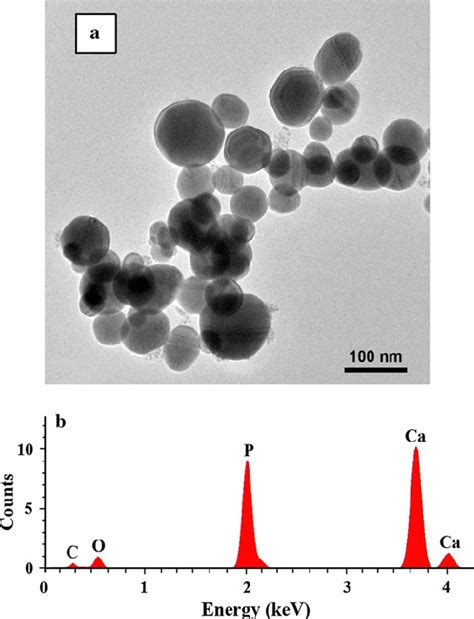 A Image Of Transmission Electron Microscope Tem B Edax Sample Of