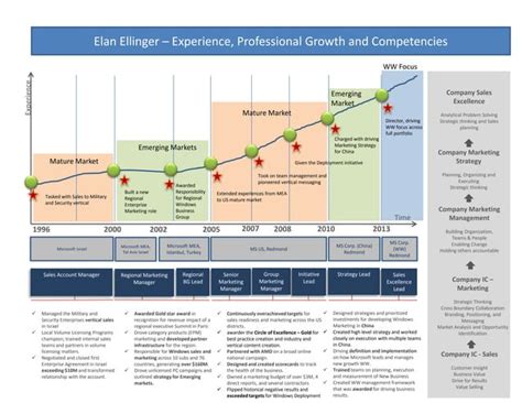 Competency Timeline Elane Pptx Sales Business