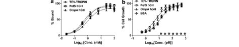 In Vitro Hgh Receptor Binding Elisa A And Nb2 Cell Potency Bioassay