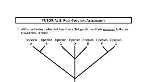 Post Tutorial 3 Assignment S25 Phylogenetic Tree Analysis Studocu