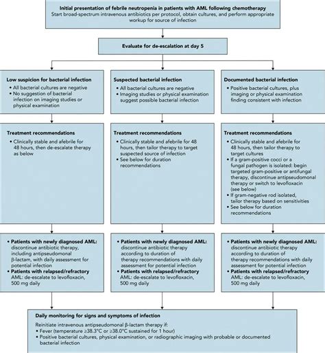 Gram Positive Rods Algorithm
