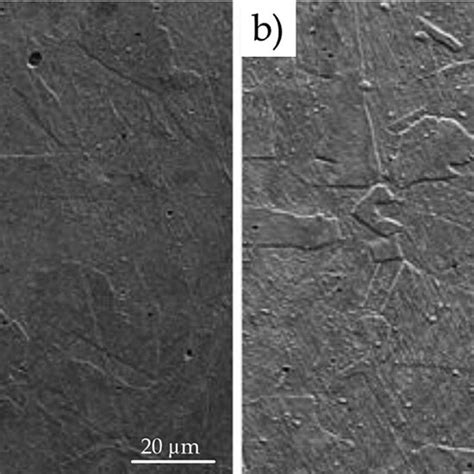 Microstructure Of The Annealed Pure Copper After Sse A 1st Pass 27