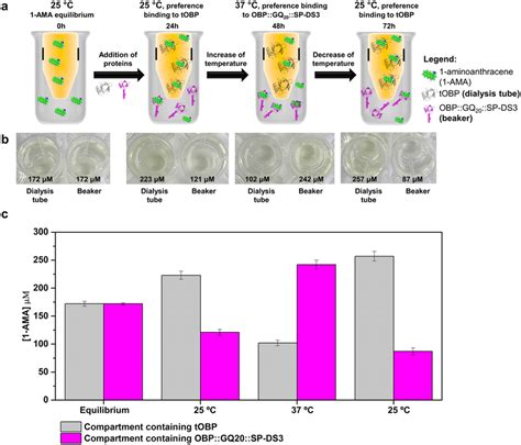 Fluorescence Binding Assay Of 1 Ama To Tobp And Obp Gq 20 Sp Ds3