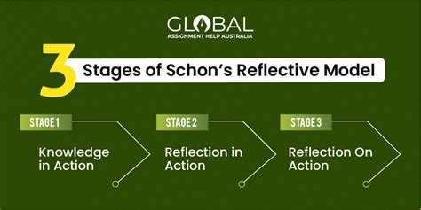 Learn About Schons Reflective Model Experts Perspective