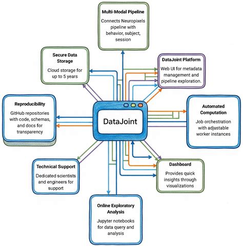 Neuropixels Plainly Explained Datajoint Insights And Ideas