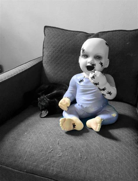 This Sassy Shadow Will Cuddle Up Next To Anything With A Lap R