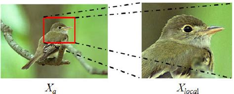 Figure 3 From Fine Grained Image Classification Network Based On