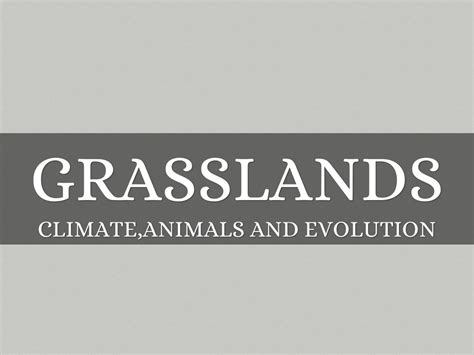Grasslands