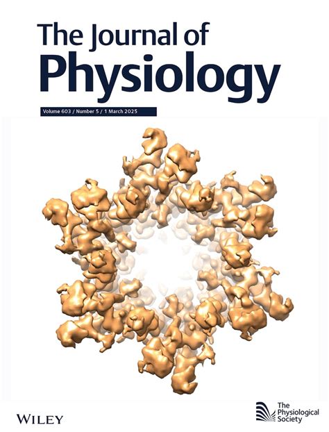 Multinucleation As A Buffer Against Gene Expression Noise In Syncytial
