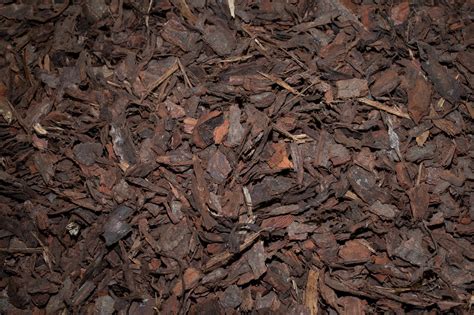 Pine Bark 40mm Buttrose Landscape And Garden Supplies