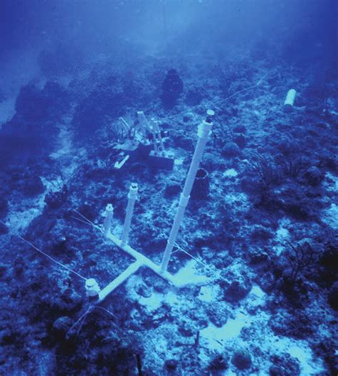 A Plankton Sampling Array In Place Near The Aquarius Laboratory On Download Scientific Diagram