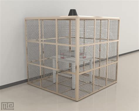 Magnetic Compass Bird Maze Maze Engineers