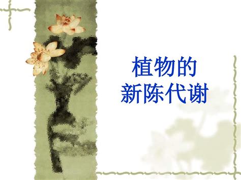 植物的新陈代谢复习word文档在线阅读与下载无忧文档