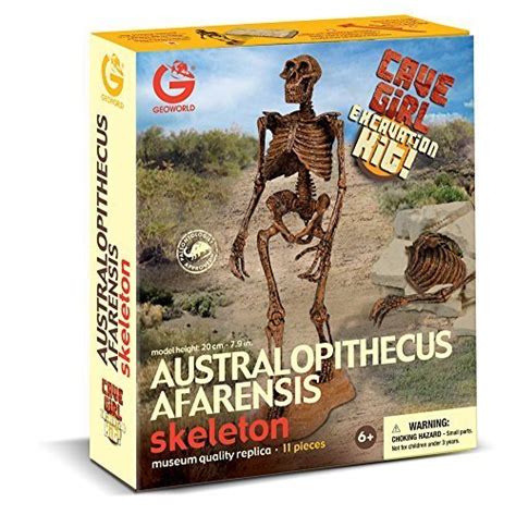 Geoworld Cave Girl Australopithecus Afarensis Skeleton Import It All