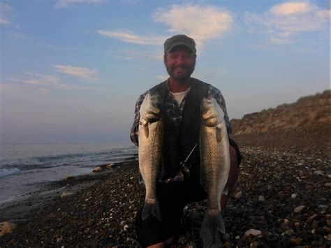 Lild Strand Havbars I Danmark